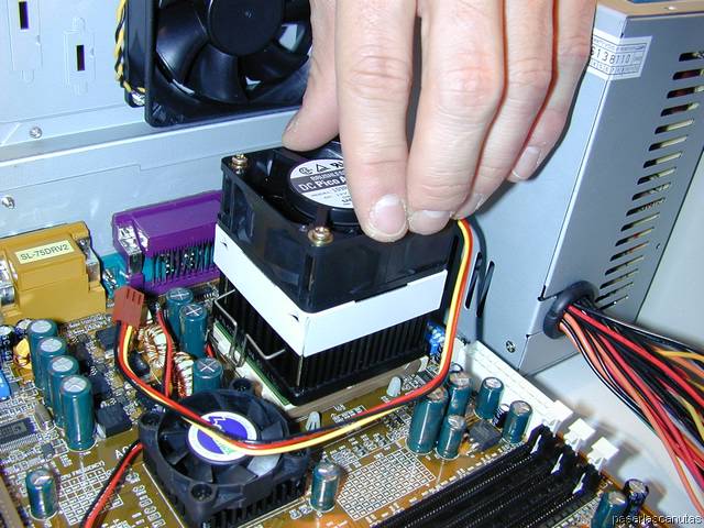 Zthephaniie lml: Ensamble De Una Computadora