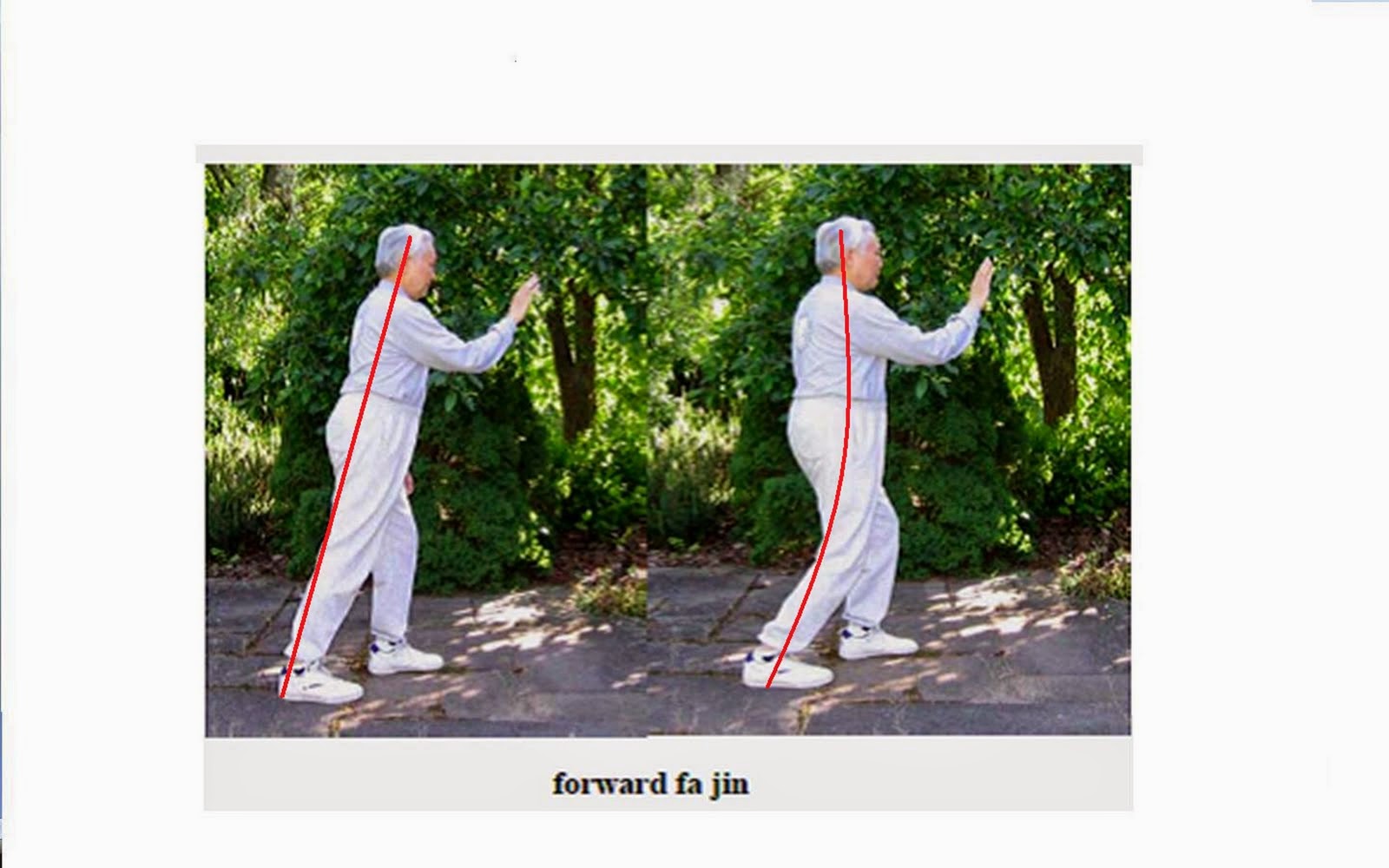 Classical Tai Chi Blog: Classical Wu Style Tai Chi "Walk"