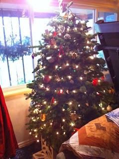 Sanna's Bag: In search of the wily Christmas tree