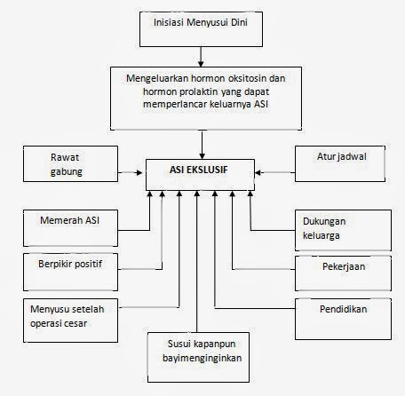 HUBUNGAN INISIASI MENYUSU DINI (IMD) EKSKLUSIF - Welcome To Achef ...