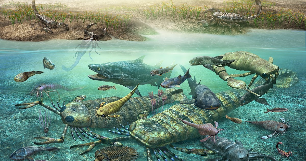 Marchan Blog: シルル紀 Silurian period