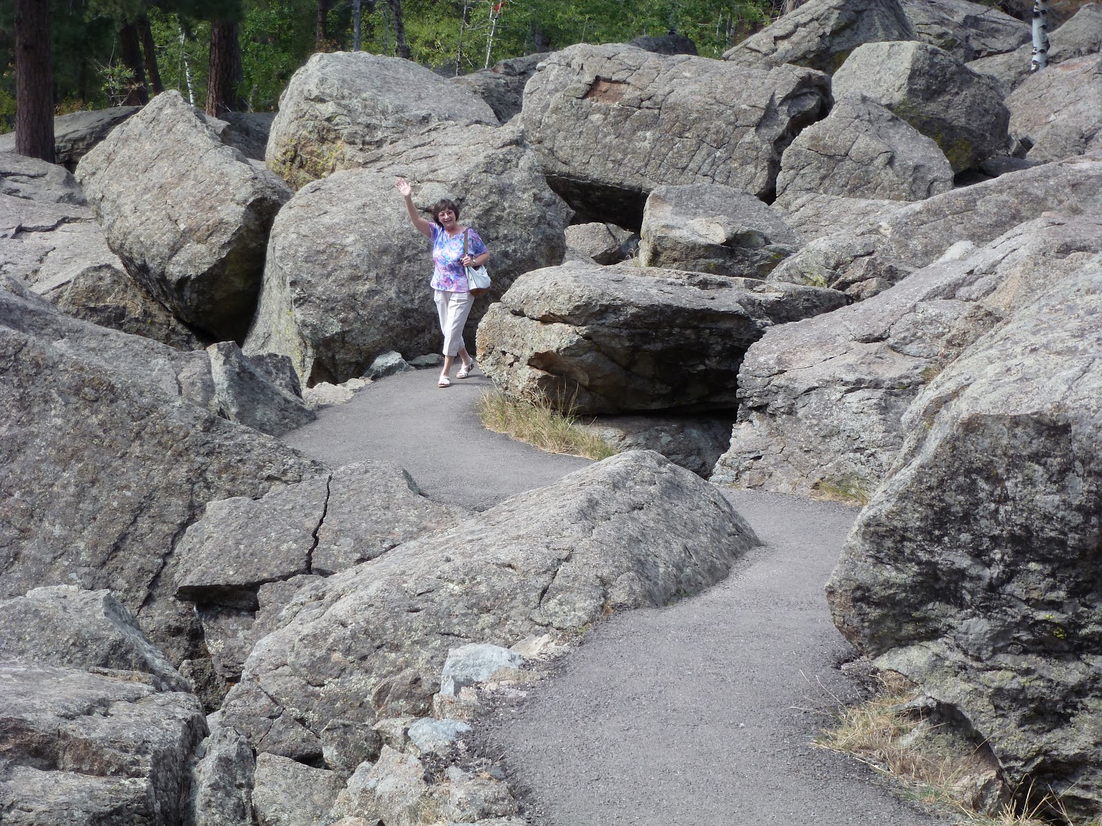 TREKING WITH CAROLYN & JIM: Day 8 - Custer State Park to Wyoming