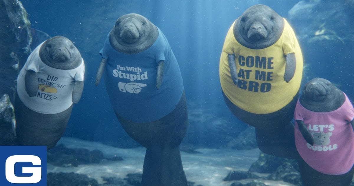 Becki at The Beech: Time to Celebrate! It's Manatee Awareness Month!