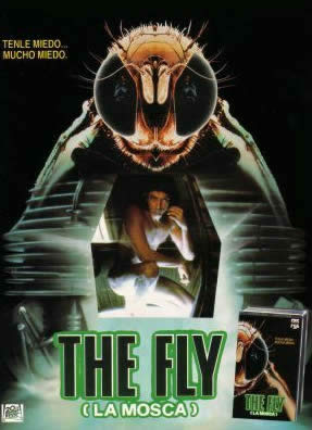 La mosca | Oggi è un altro post