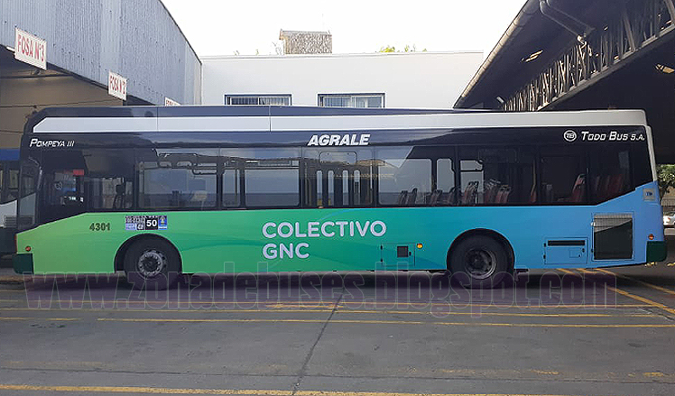 Colectibus - Zona de Buses: LINEA 50