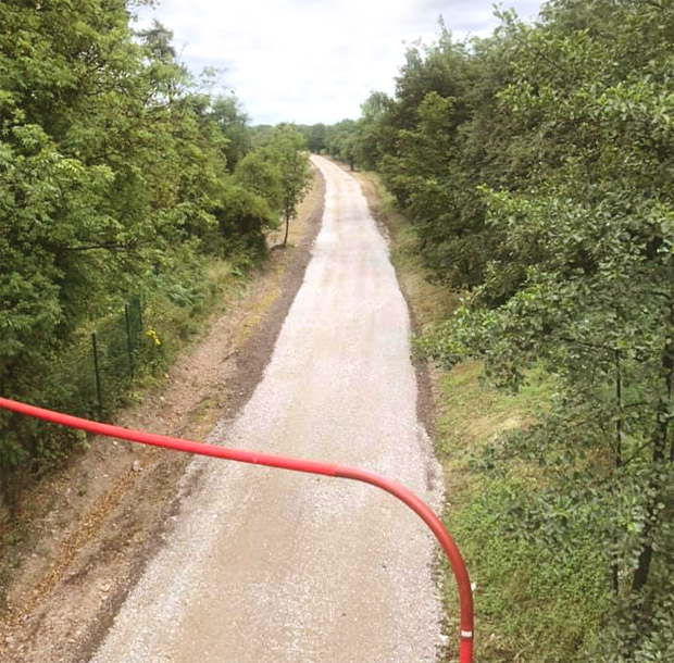 Now that the restrictions have been lifted, they have been making great ...