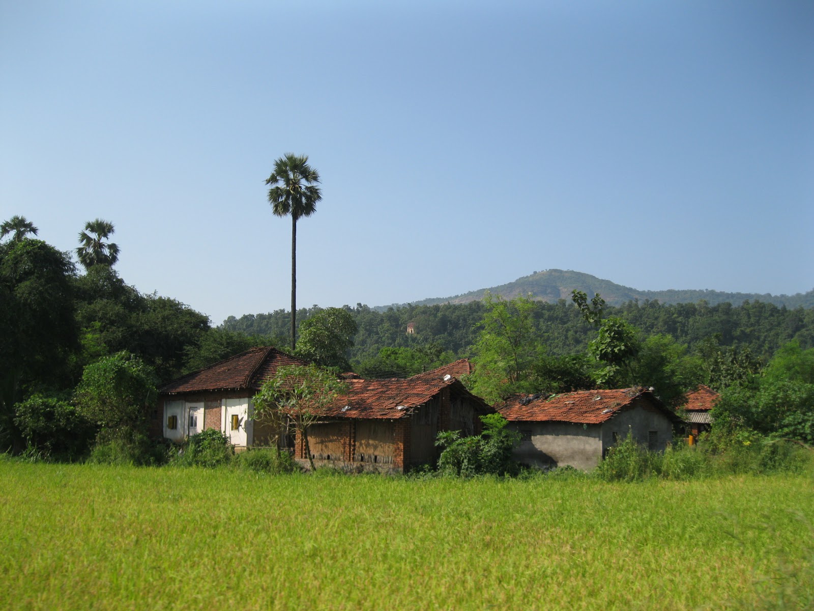 Namo Nityananda: Divine land of Ganeshpuri