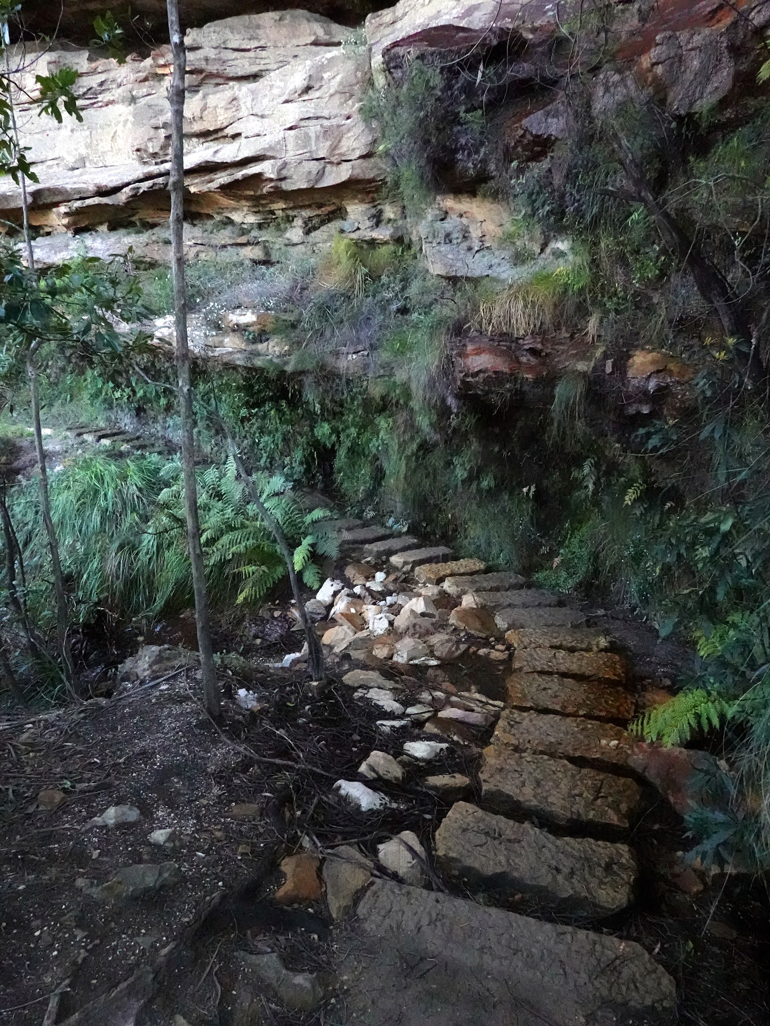 All The Gear But No Idea: Wentworth Falls, Wentworth Pass, Rocket Point ...