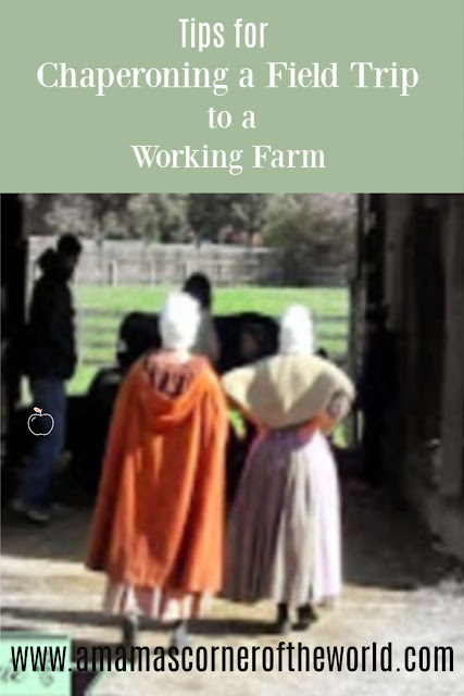Tips for Chaperoning a Trip to a Working Farm or a Living Historical Farm