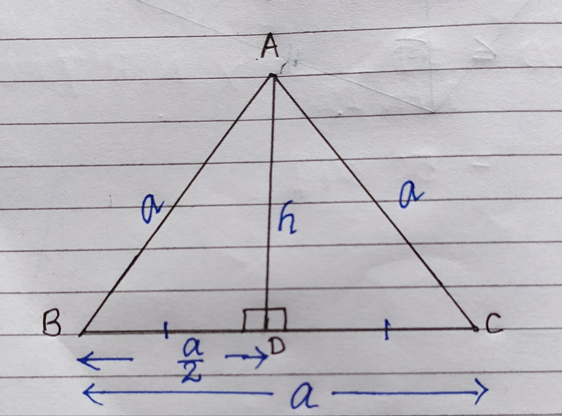 Mensuration: Area of Plane Surface (Triangle) - Unit 4 | Class 10 ...