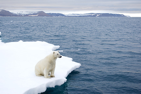 English Activities : Interpretação de texto em inglês - Global Climate ...