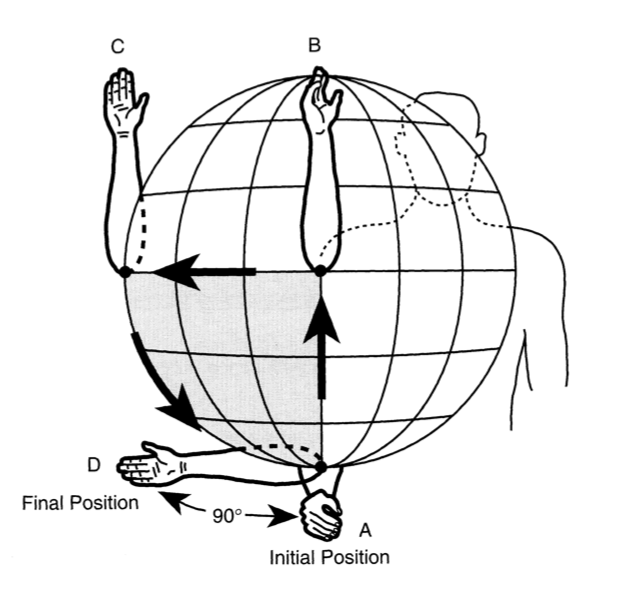 UW Shoulder and Elbow Academy: On the hypotheses that determine the ...