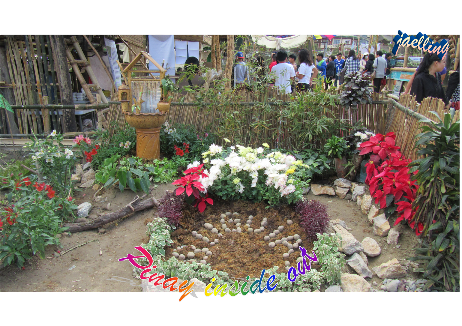 Booth of Buguias, Benguet - Adivay 2015