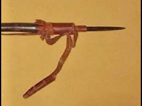 Sombra do Onipotente: O QUE É AGUILHÃO?