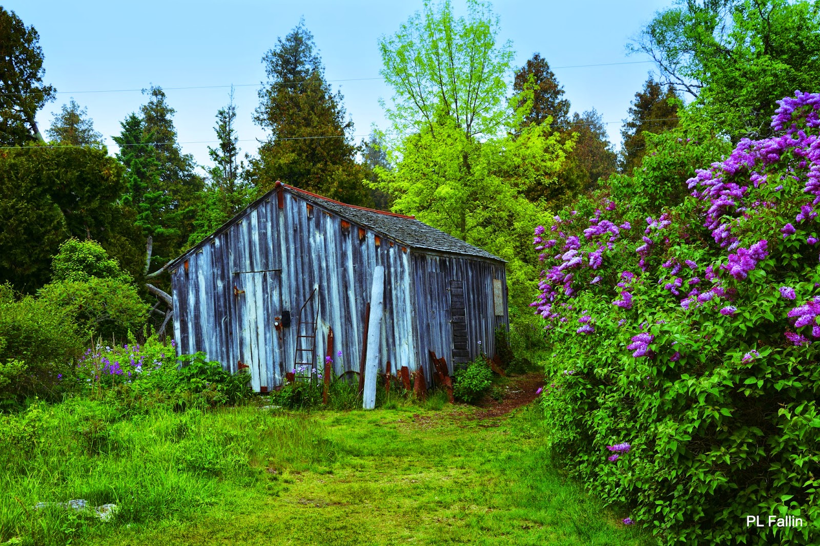 PL Fallin Photography: Chambers Island Lighthouse
