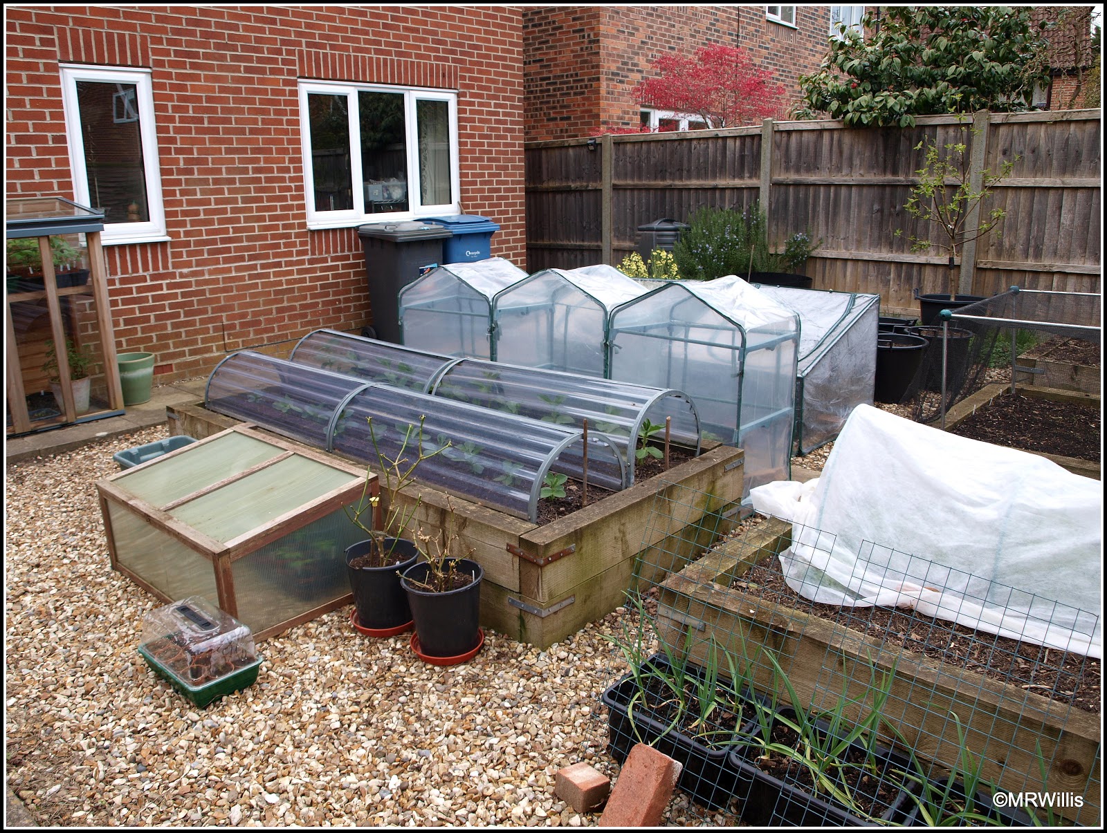 Mark's Veg Plot: Crop protection equipment
