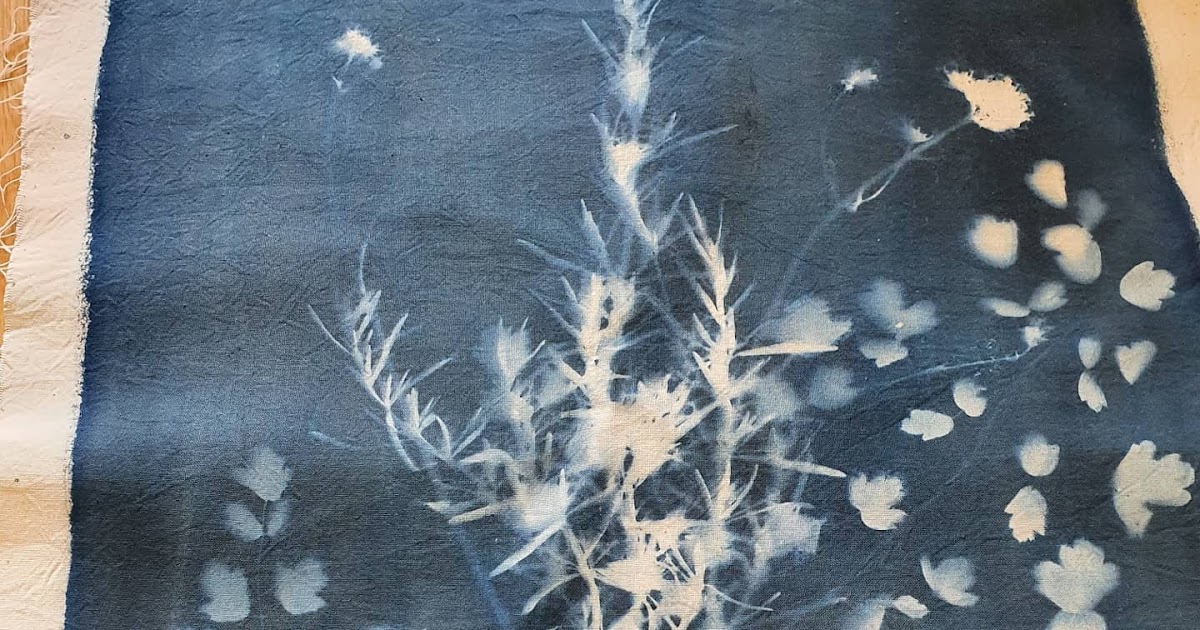 Print: Adventures in Cyanotype 2