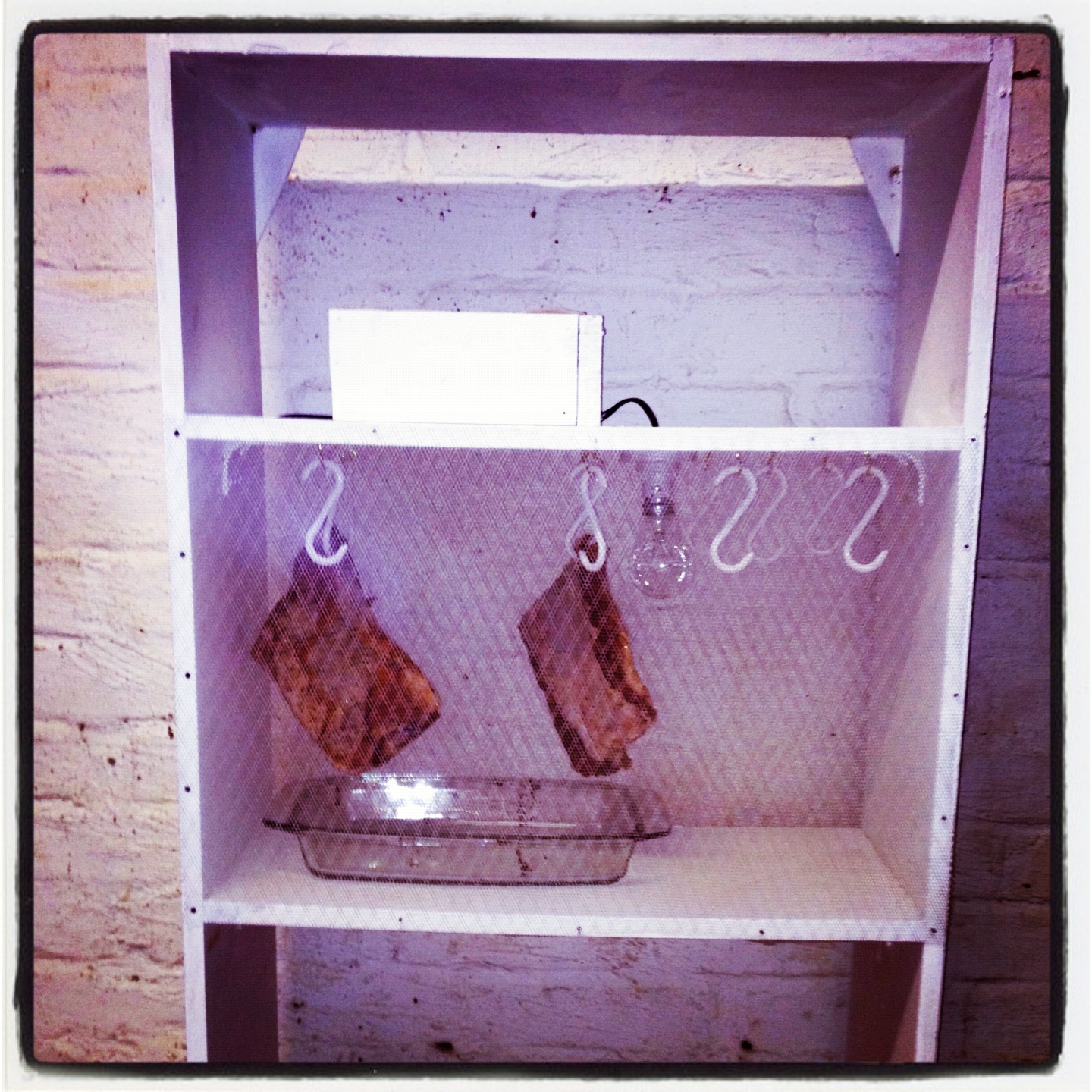 Taste Buds : CURING YOUR OWN BACON