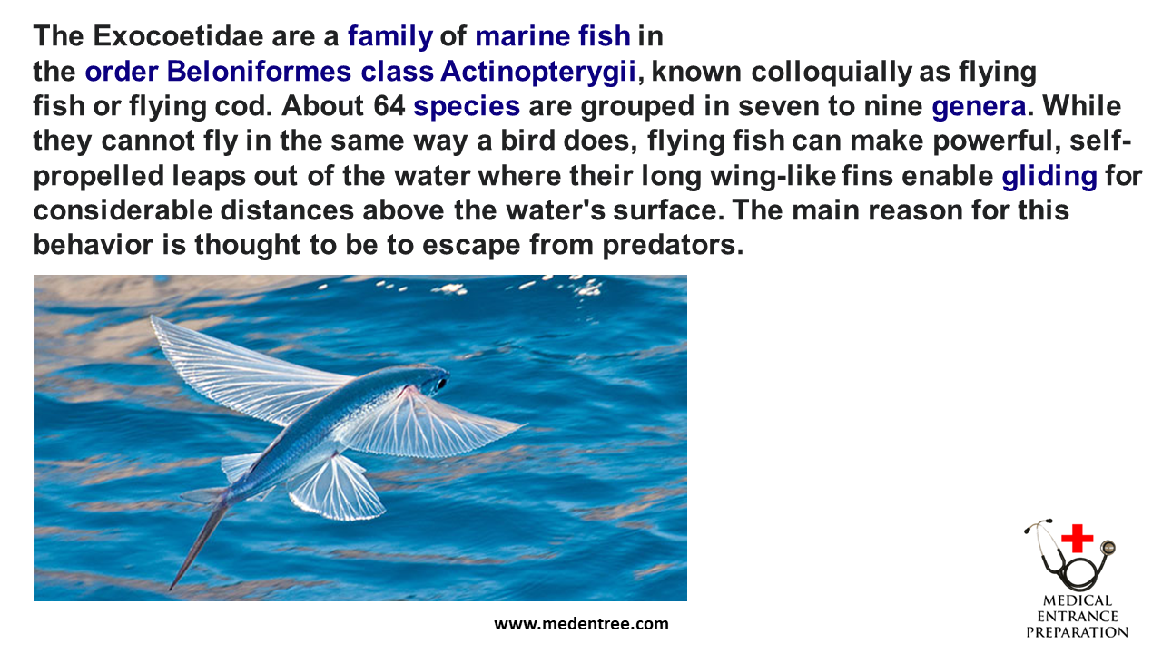 Medical Entrance Preparation: True fish vs false fish