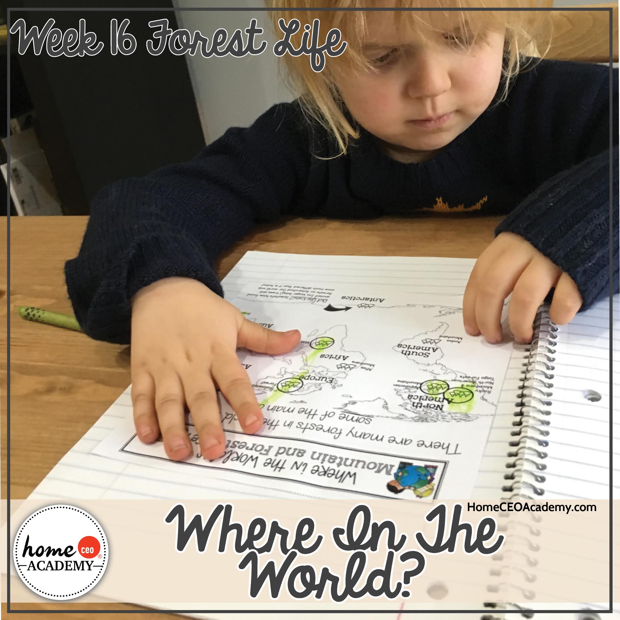 Preschool Habitats: Forest Theme by Home CEO Academy