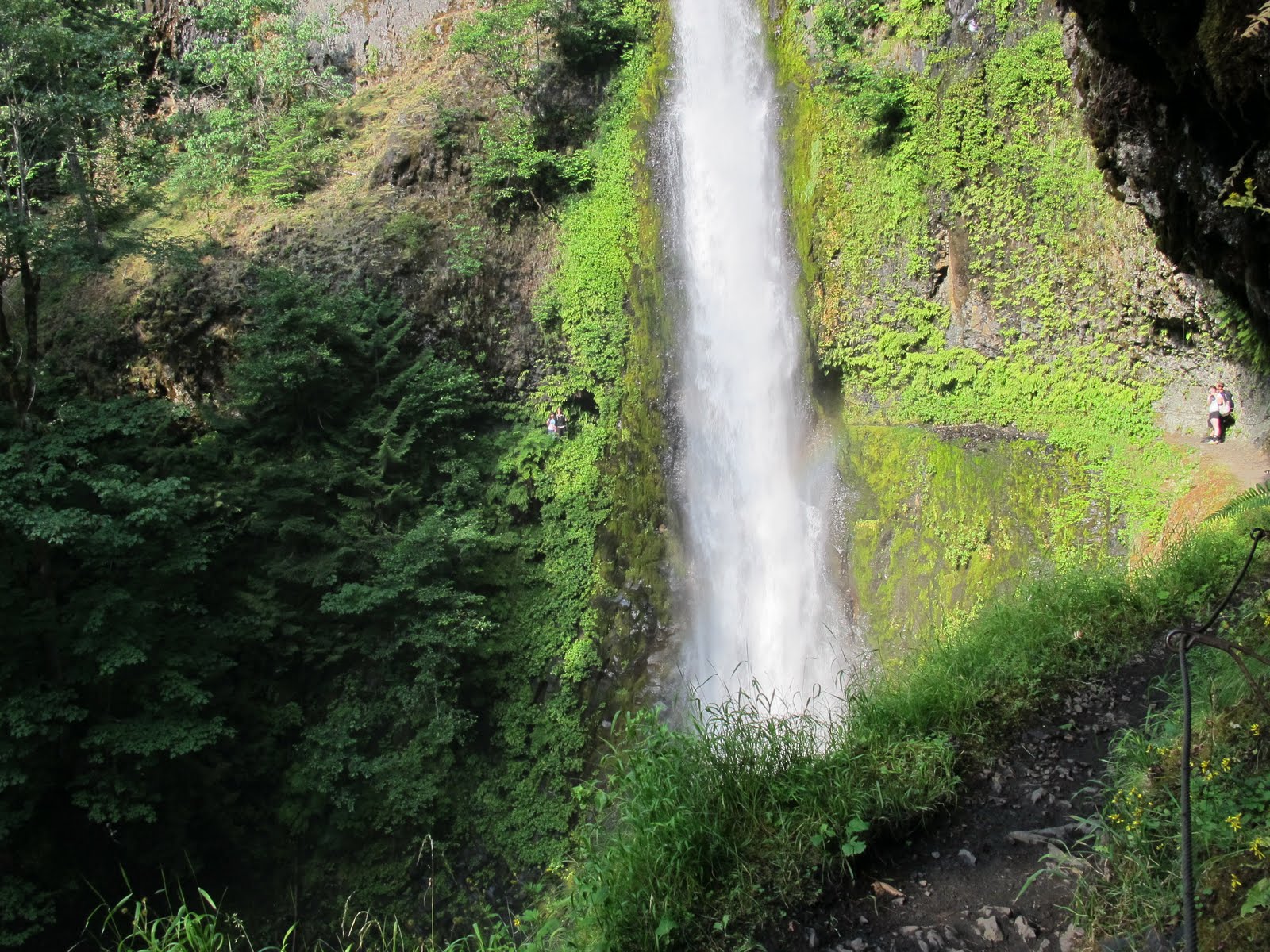 Nelda Mays Photography, Inc.: The Eagle Creek Trail, Oregon