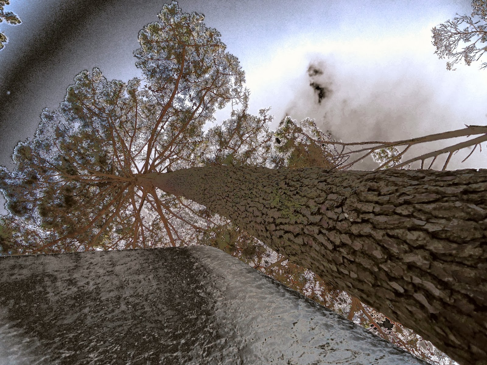 FIGURA Y FONDO...: Serie 50 - Mundo irreal