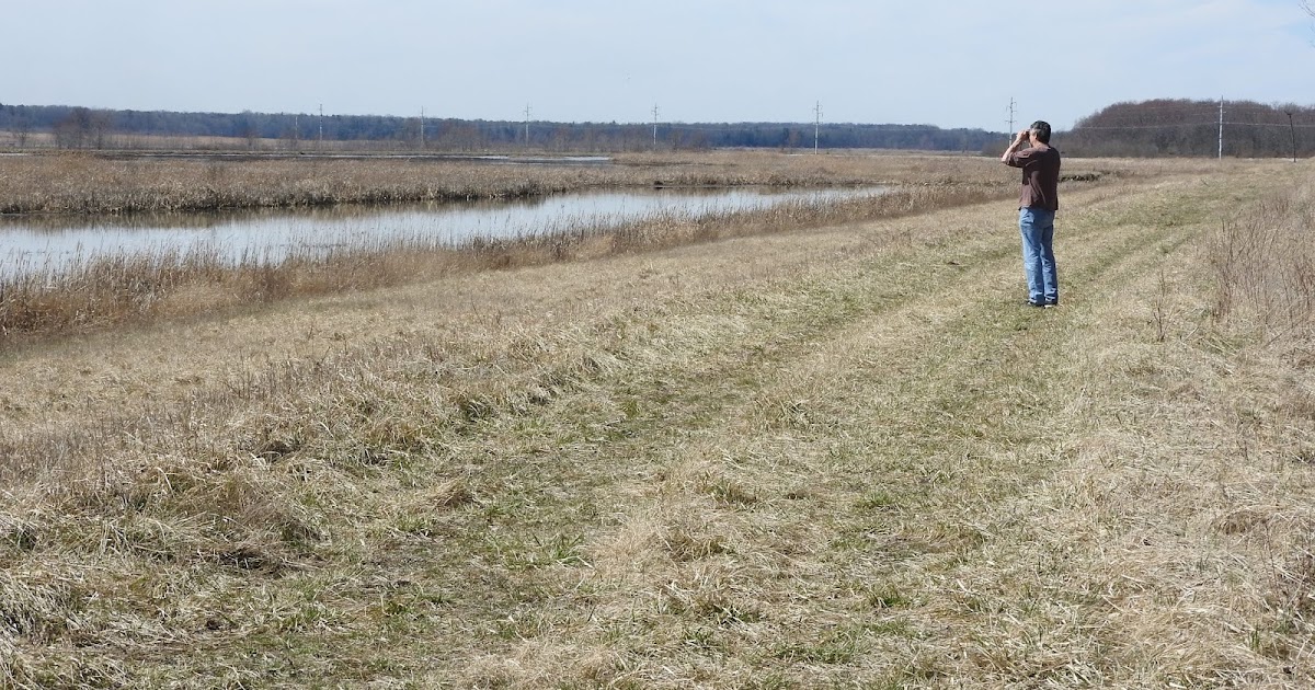 A little leeway: The Upcoming 30 Day Challenge of April