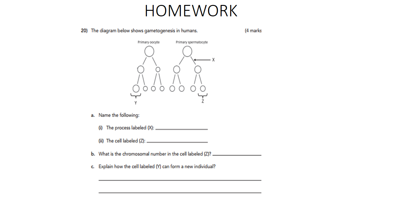 Grade 12: DISTANCE LEARNING