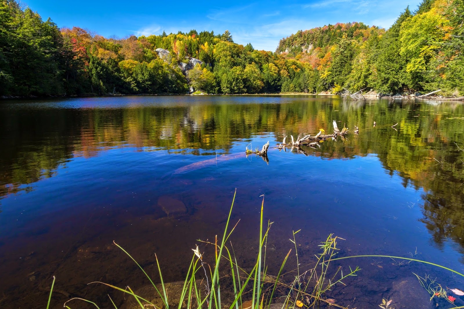 Hiking the Dacks: Inman Pond - Lake George Wild Forest
