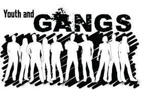 The Haunted Closet: The Youth Gang Phenomenon: What Every Parent Should ...