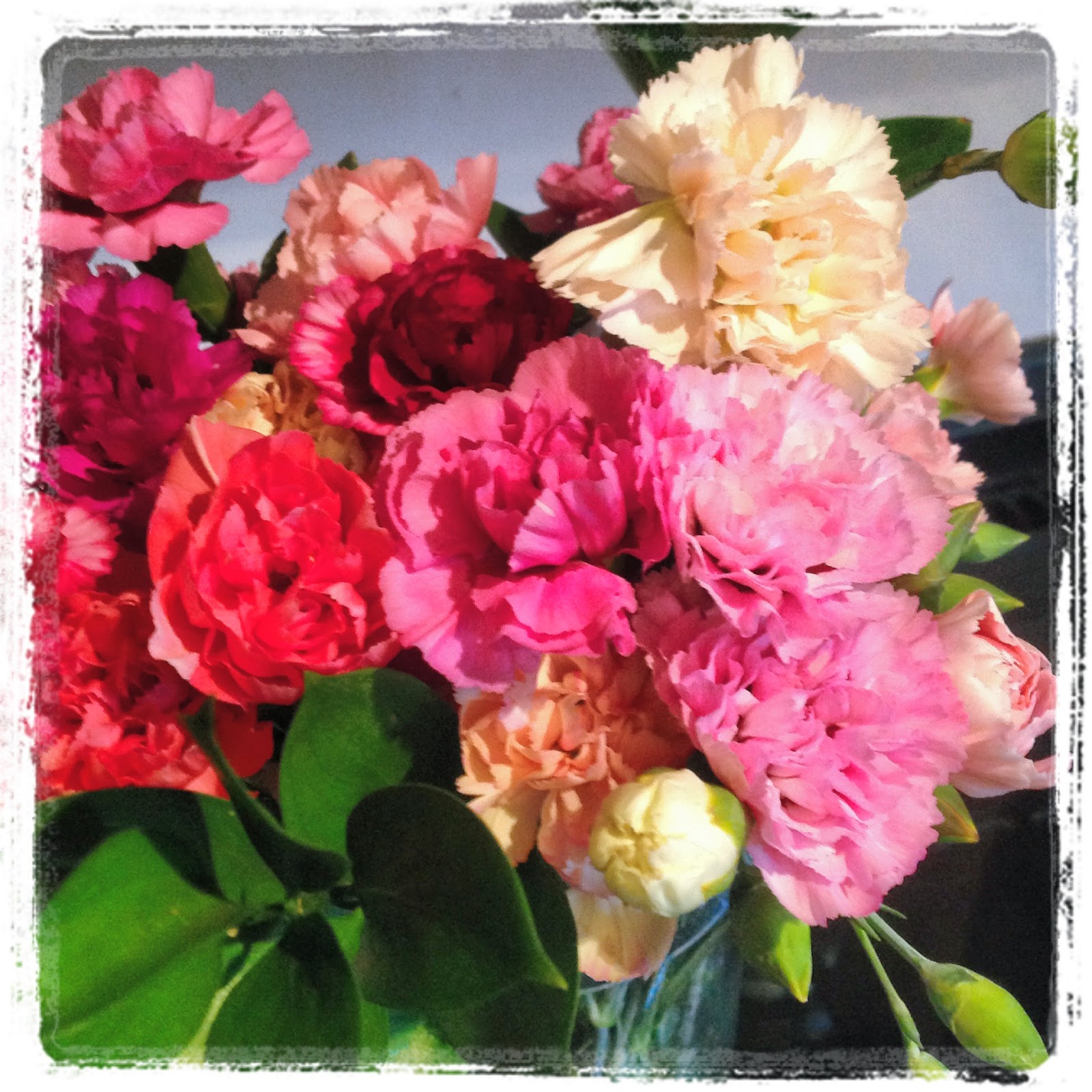 Mellow Mummy: Scilly Flowers - Scented Pinks by Post : Taking life as ...