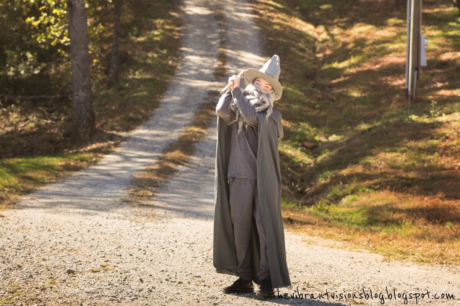 the Vibrant Visions blog: DIY Gandalf Costume