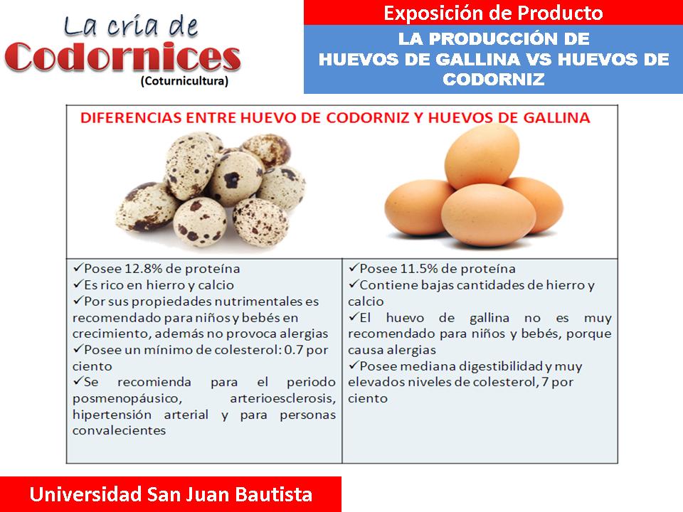 CRIANZA DE CODORNICES: CAPITULO 2 ~ SOMOS CUY PERU