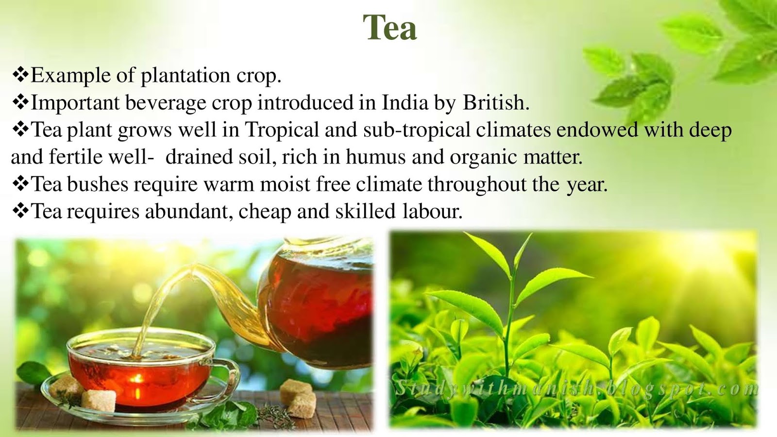 Agriculture Class 10th PPT agriculture-class-10th-ppt