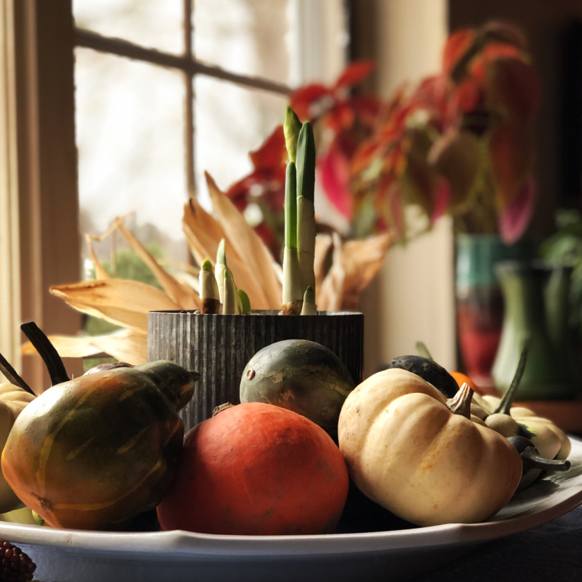 Tamera Beardsley: New England Thanksgiving