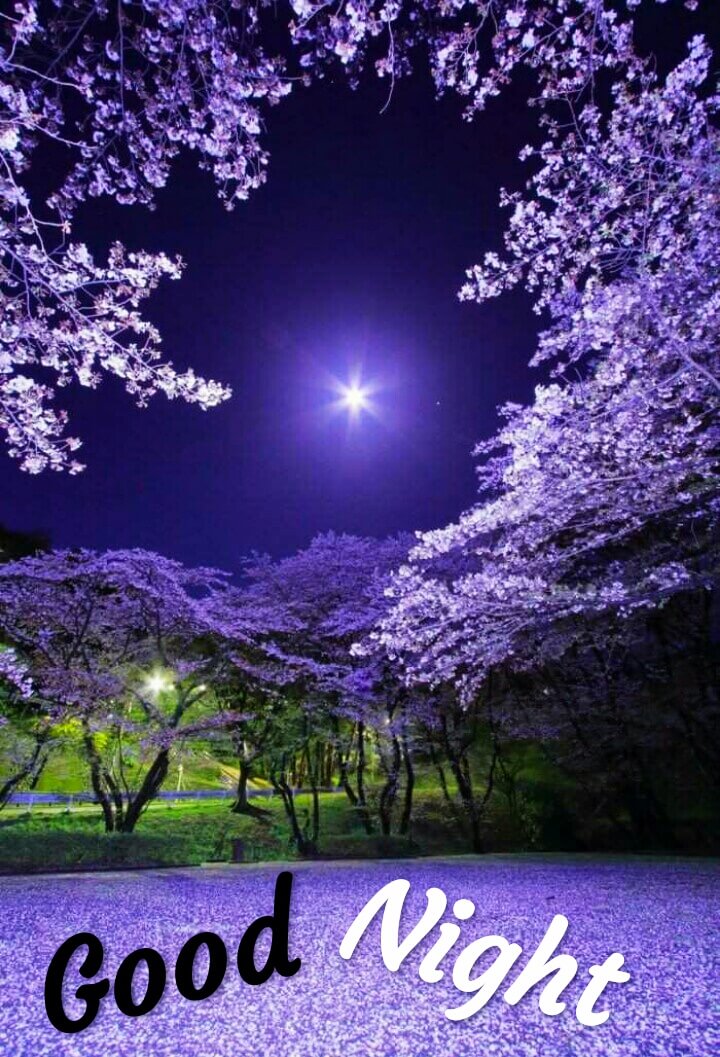 Good Night Images For Whatsapp