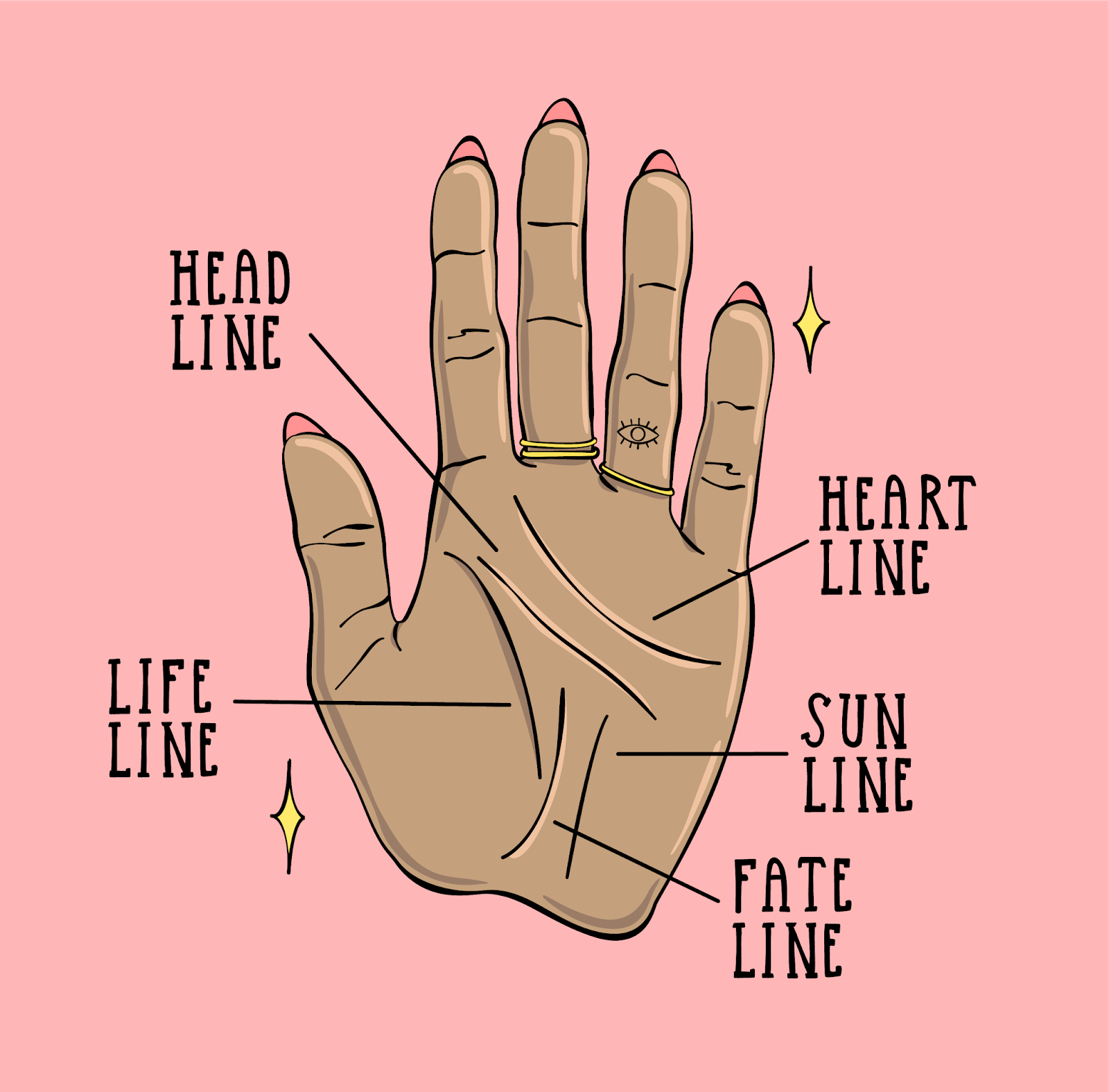 What Are The Principles To See A Palm | Palm Reading ~ INDIAN PALMISTRY ...