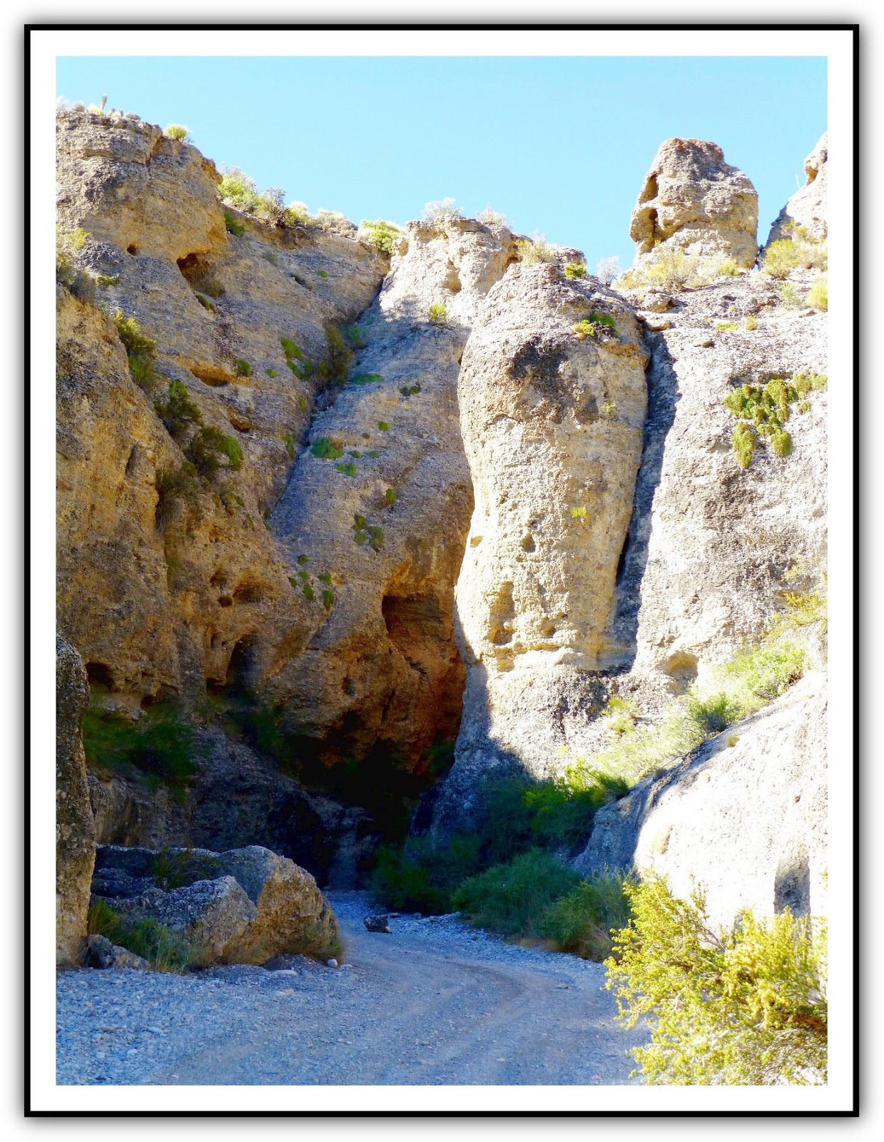 Ken's Photo Gallery: Kyle Canyon Slots - Summary Page