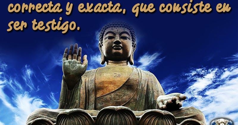 Presente Consciente: Testigo