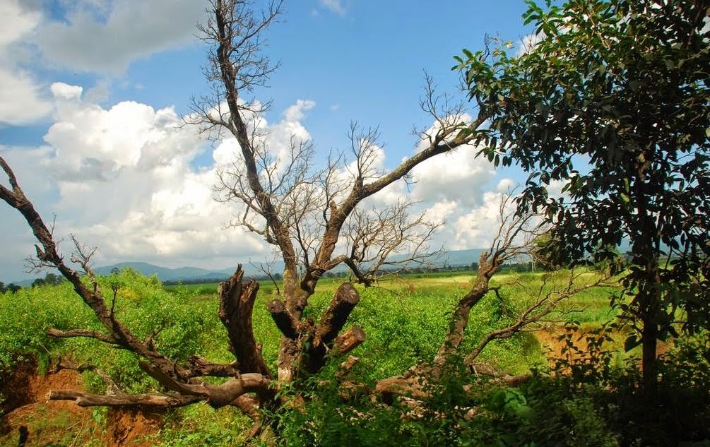Jharkhand Forests ~ Siva Travelogue