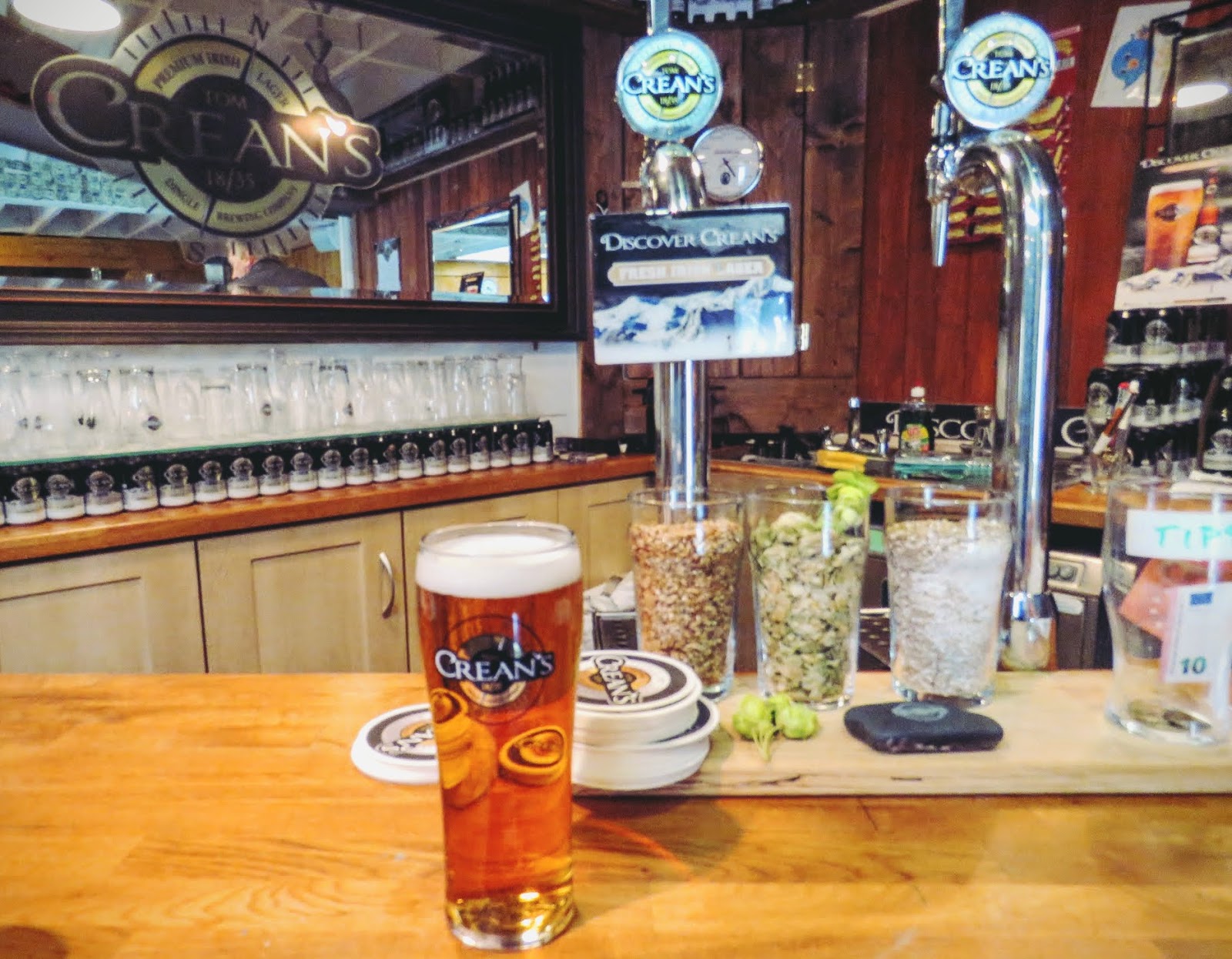 14 of the Best Things To Do In Dingle on a Quick Trip