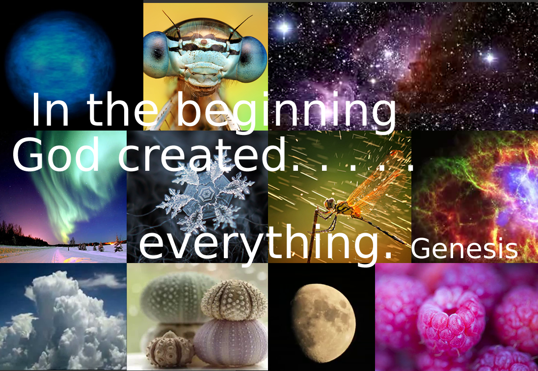 Bible Treasures Cartoons: In the Beginning - God Created Everything