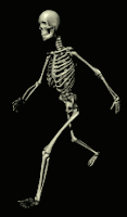 Biología y Geología Toni: GIFS CUERPO HUMANO