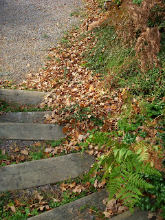 Helena´s Hem & Trädgård: Kattskallar i trädgården är big no no...