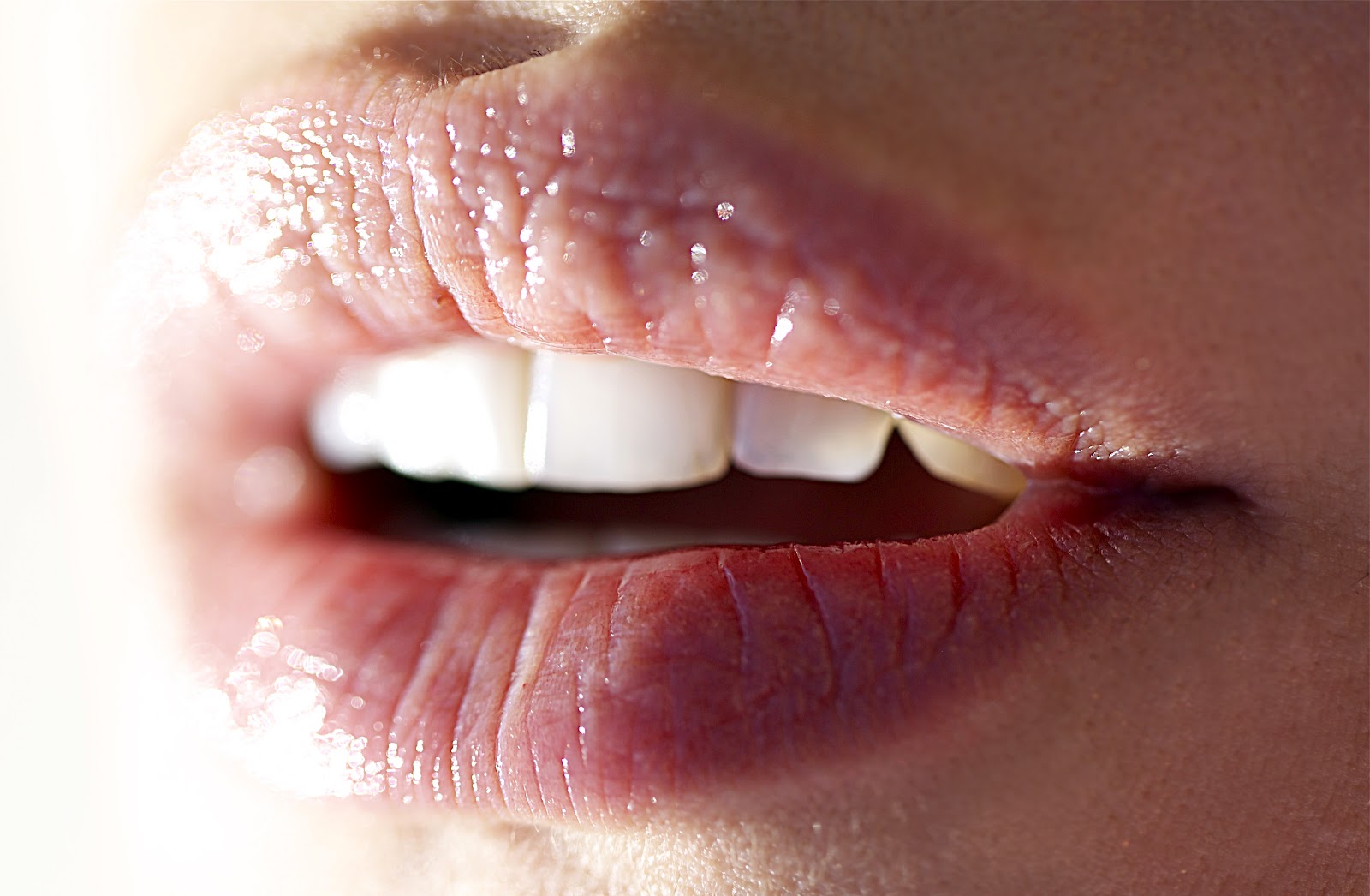 TORNBERG PHOTOGRAPHY tornbergphotography.com