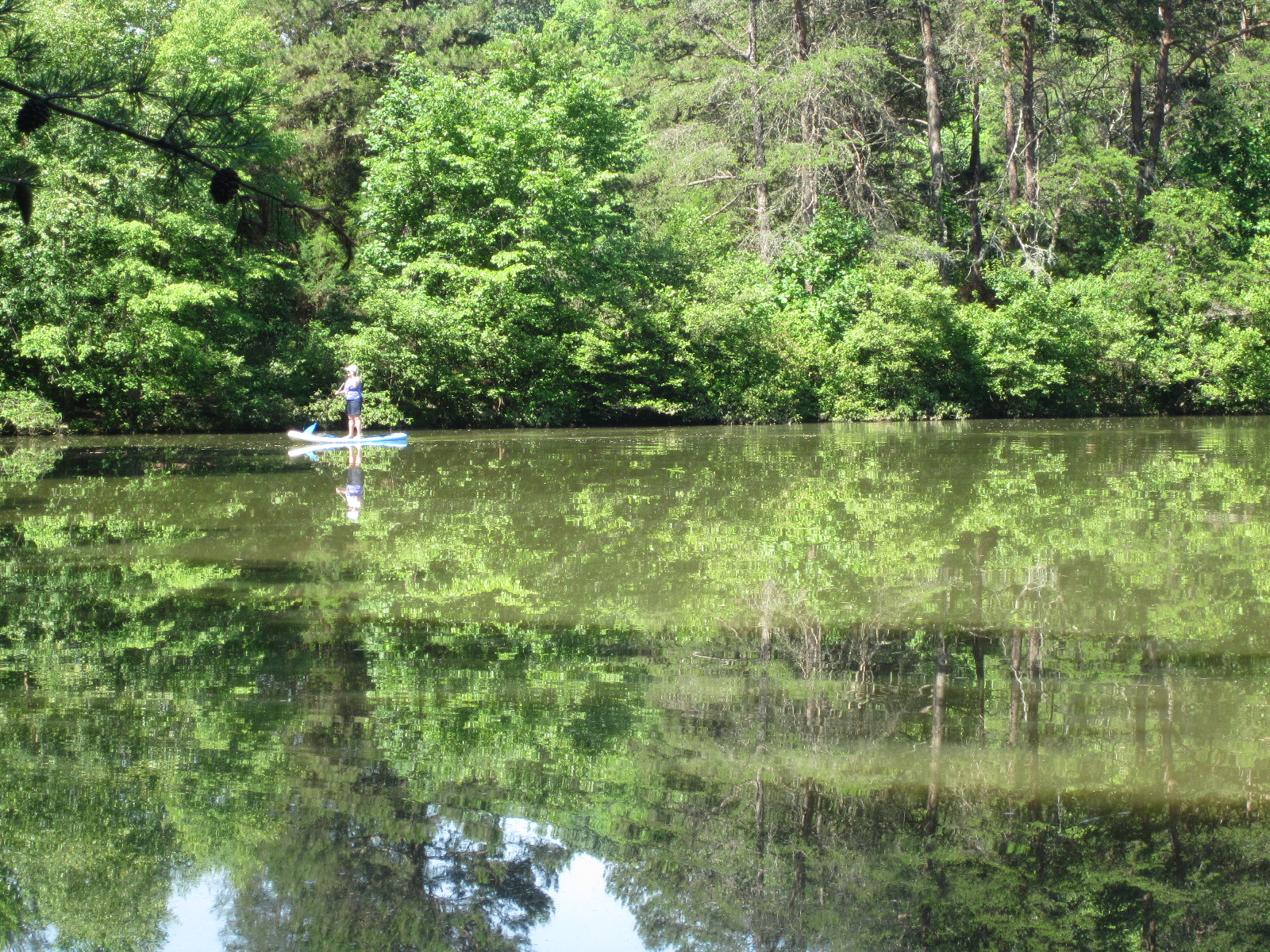 Travel NC With Kids: Lake Norman State Park - Extensive Trails and a ...