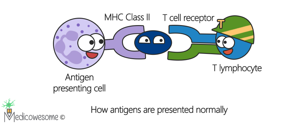 Immense Immunology Insight: Superantigens