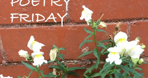 TeacherDance: Poetry Friday - A DEFINING Moment