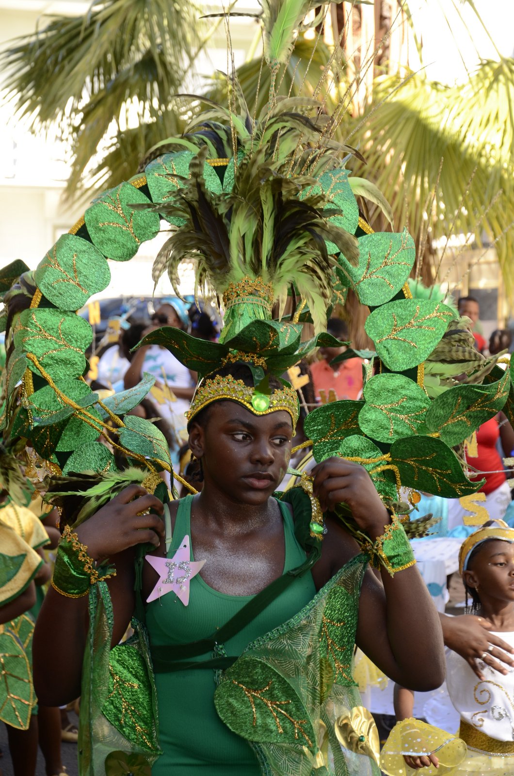 ST MAARTEN CARNIVAL 2014 blogs judith roumou: french st martin carnival ...