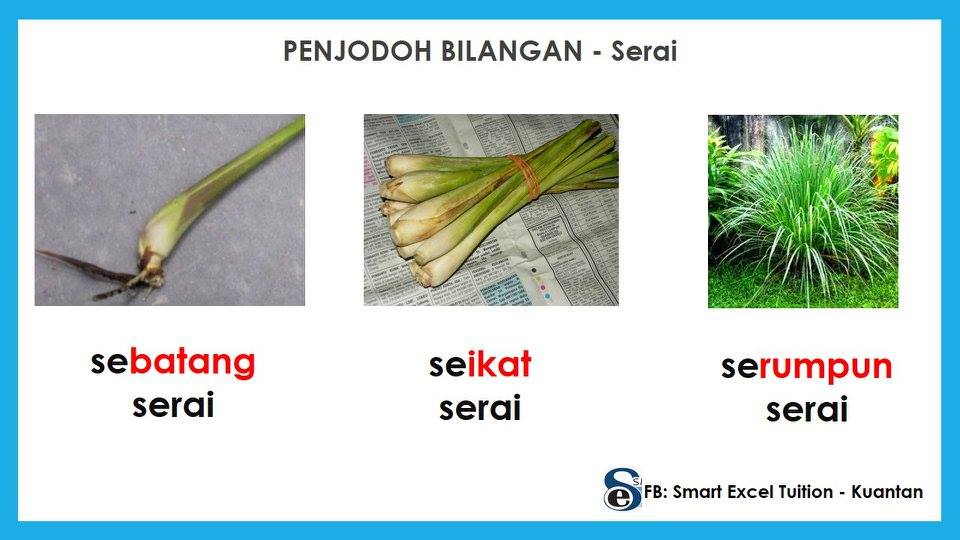 Bahasa Melayu Study Notes: Penjodoh Bilangan 1